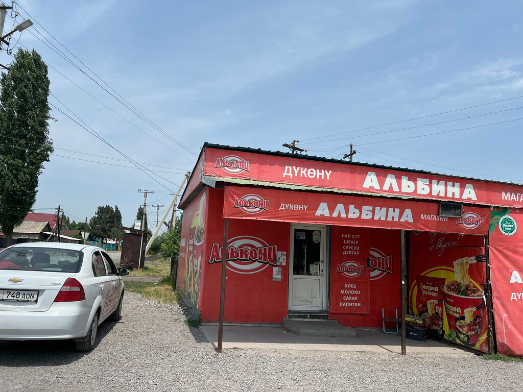 Market Альбина, Çuy ili, foto