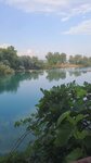 Çoraman Alabalık Çiftliği ve Piknik Alanı (Antalya, Manavgat, Ulukapı Mah.), balık çiftçiliği ve toptancıları  Manavgat'tan