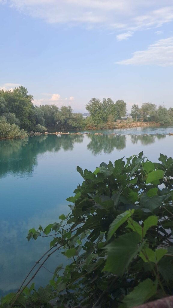 Balık çiftçiliği ve toptancıları Çoraman Alabalık Çiftliği ve Piknik Alanı, Manavgat, foto