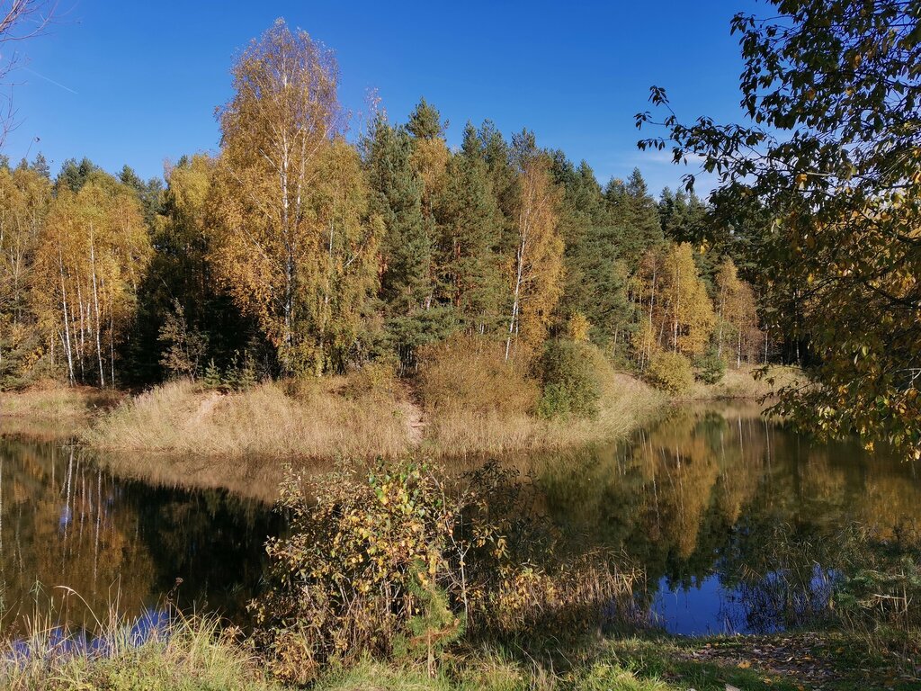 Bahçecilik dernekleri ve kuruluşları СНТ Марс, Moskova ve Moskovskaya oblastı, foto