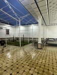 Hotel (Djizzak Region, Sharof Rashidov District, Bo'ston mahalla fuqarolar yigʻini, Toshkentlik koʻchasi, 53), otel  Cizzak eyaletinden