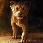 Simba (Vostochno-Kruglikovskaya Street No:67), evcil hayvan kuaförleri  Krasnodar'dan