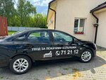 Заботливые руки (Yana Fabritsiusa Street No:19), huzurevi, bakımevi  Lipetsk'ten