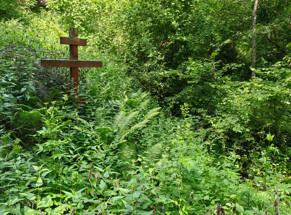 Pınar, çay Spring, stream, Moskova ve Moskovskaya oblastı, foto