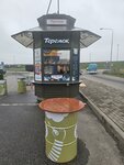 Теремок (Yuzhnaya Street No:5, Bugry), fast food  Saint‑Petersburg ve Leningradskaya oblastından