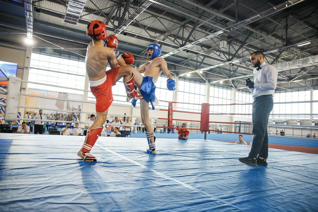 Spor kurumları Federatsiya kikboksinga Volgogradskoy oblasti, Volgograd, foto