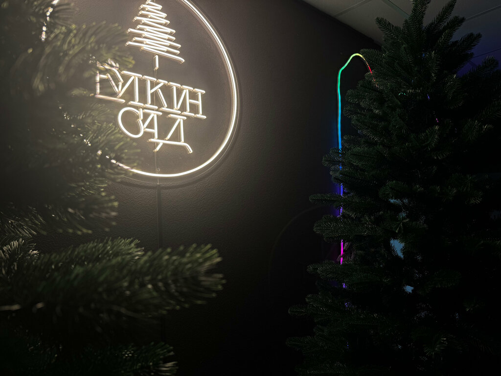 Yapay çam ağaçları ve süsleri Ёлкин сад, Vologda, foto