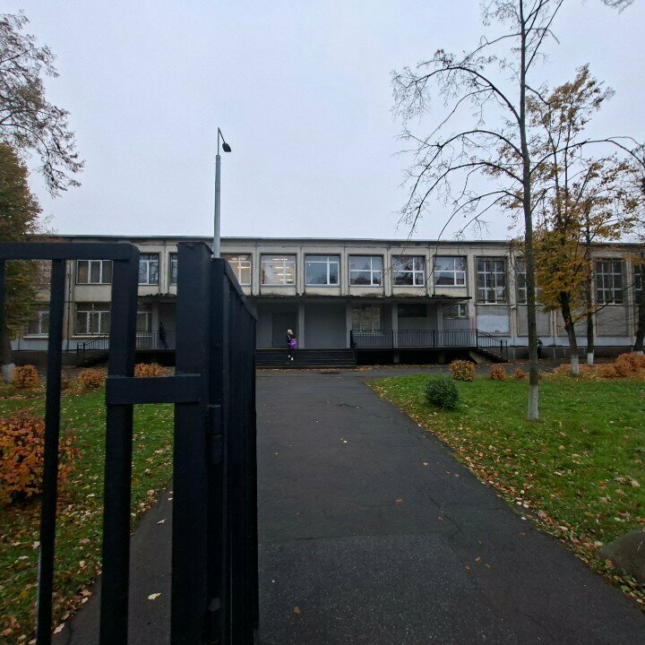 Ortaokul GBOU Secondary School № 254, Saint‑Petersburg, foto