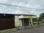 El Novillo (Santa Cruz de la Sierra, Distrito Municipal 7, Subdistrito 86, Calle 6 Oéste), satış ofisi  Santa‑Krus'tan