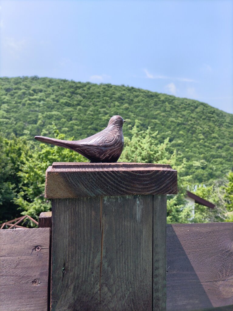 Konuk evi Редкая птица, Krasnodarski krayı, foto