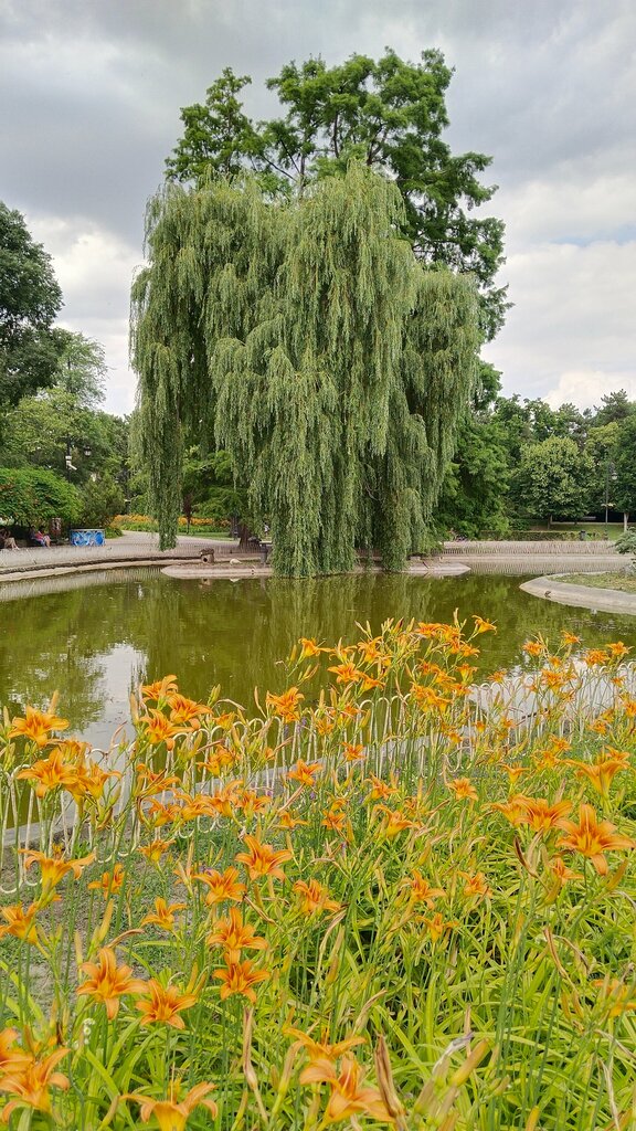 Müzeler ve sanat galerileri Острво Ержебет, Novi Sad, foto
