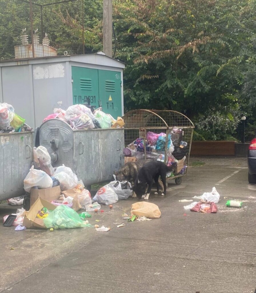 Çöp hizmetleri Крайжилкомресурс, Soçi, foto