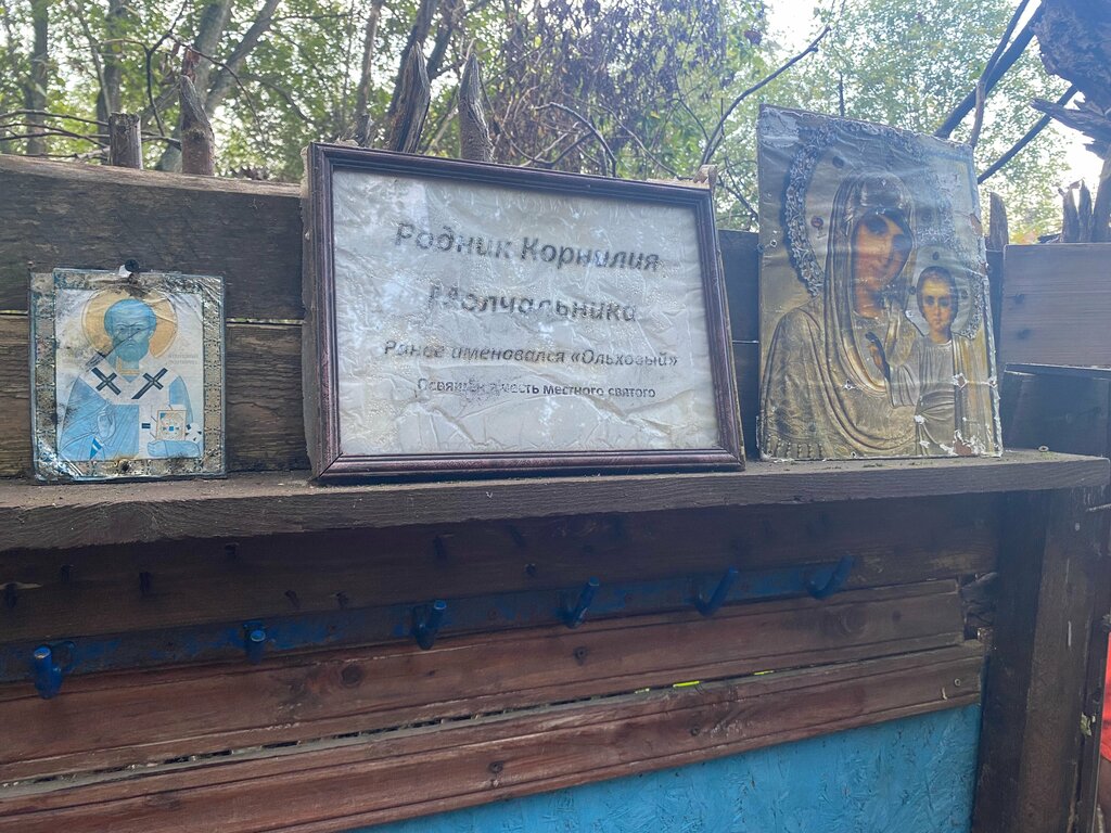 Pınar, çay Spring, stream, Yaroslavskaya oblastı, foto