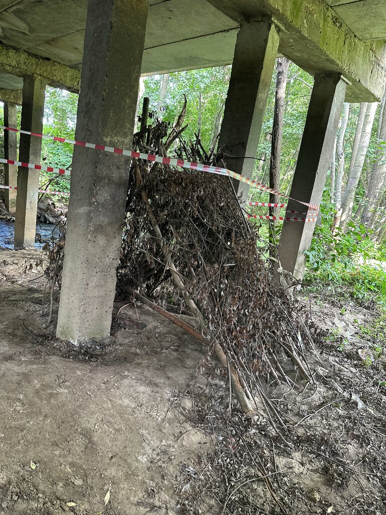 Piknik alanı Место для пикника, Riazanskaya oblastı, foto
