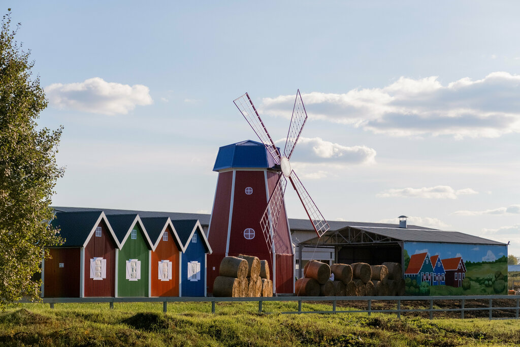 Tarım firmaları Ферма Van Classen, Tomskaya oblastı, foto