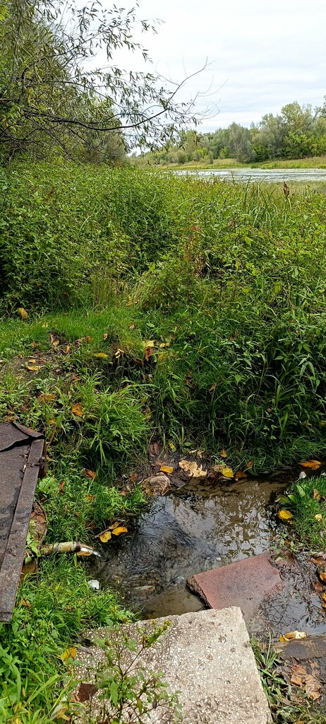 Pınar, çay Spring, stream, Samara, foto