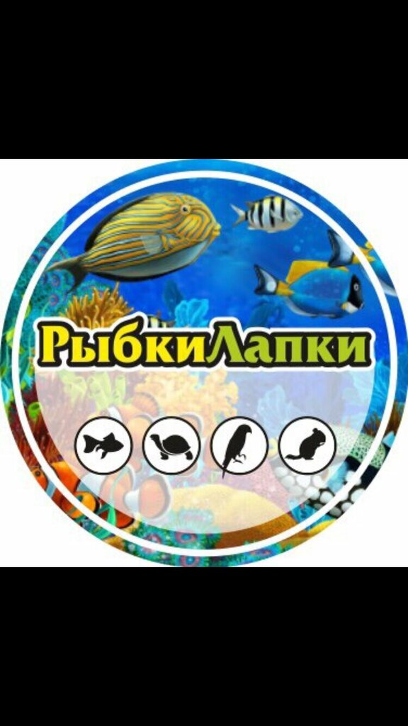 Petshop Рыбки Лапки, Krasnoznamensk, foto