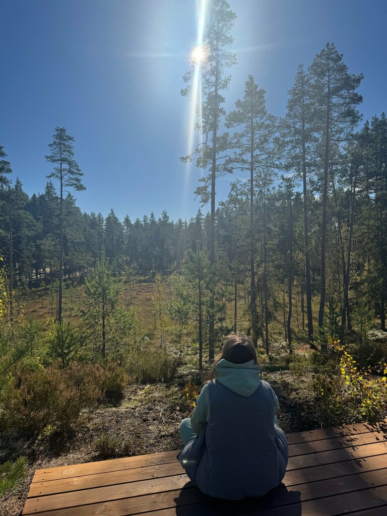 Seyir terası Панорама Оленьего парка, Saint‑Petersburg ve Leningradskaya oblastı, foto
