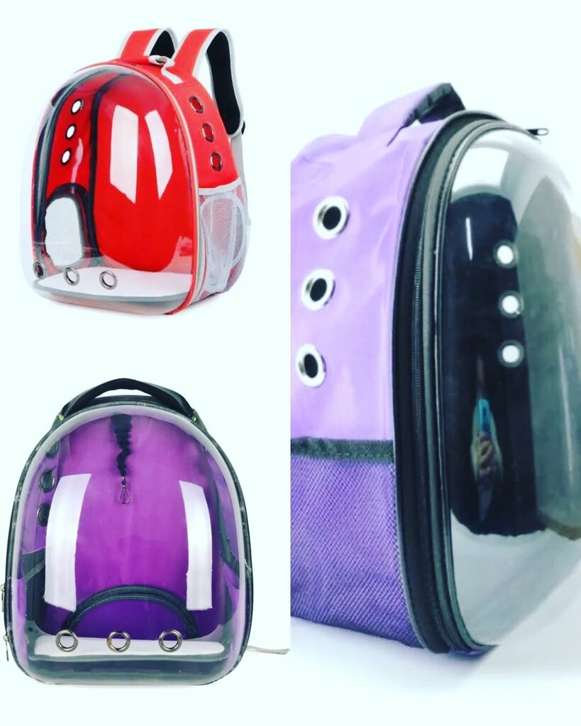 Petshop Ahes Akvaryum Ve Kuş Galerisi, İstanbul, foto