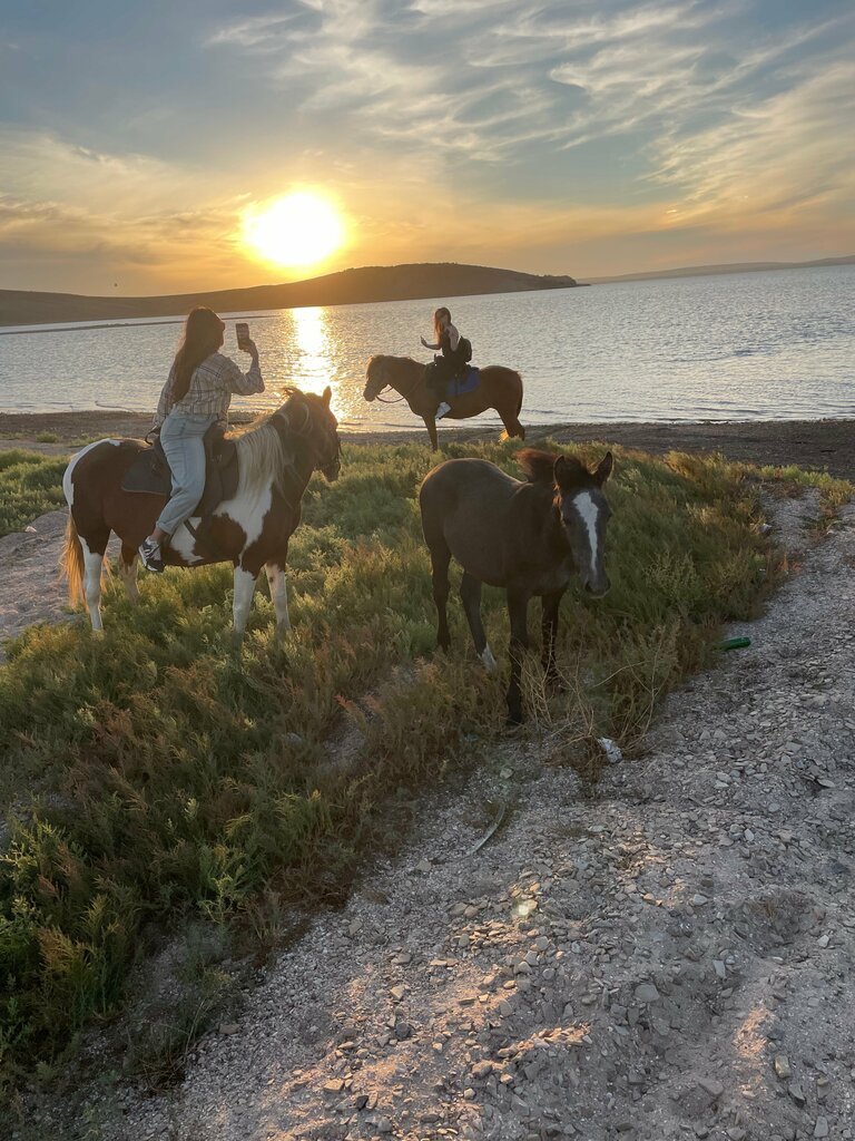At ve binicilik kulüpleri Конные прогулки, Krasnodarski krayı, foto