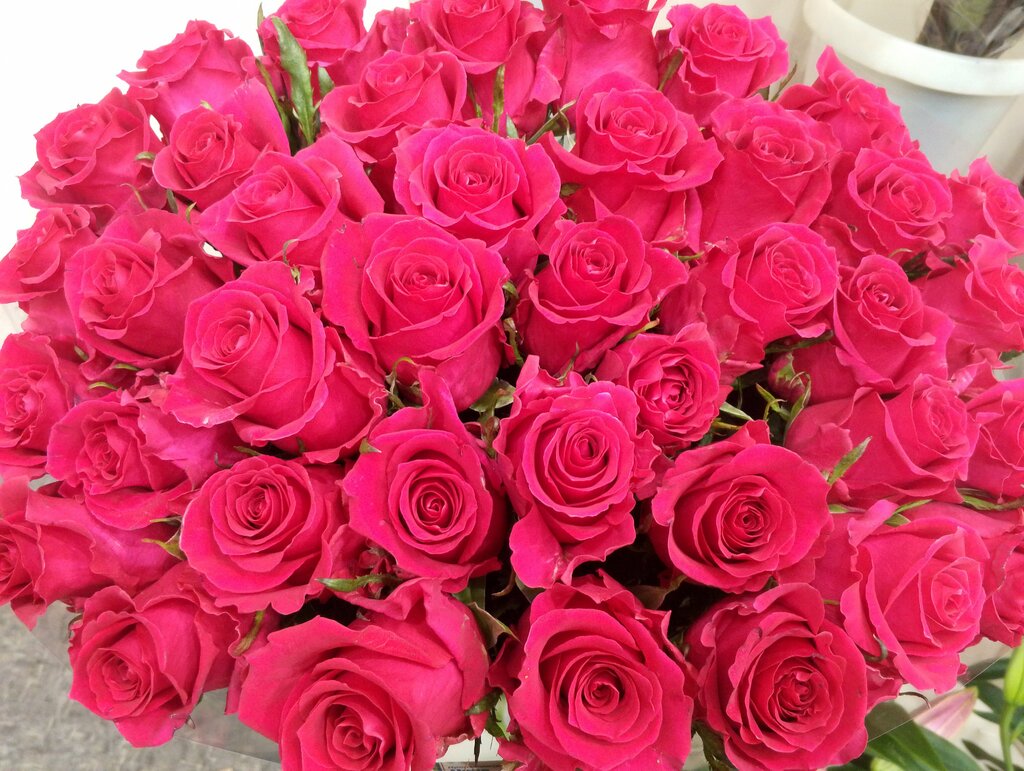 Çiçekçiler Ал Фловерс, Himki, foto