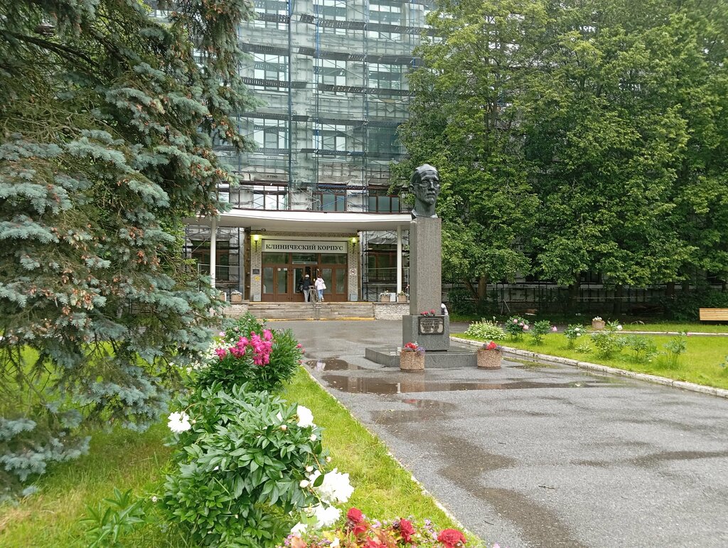 Anıt, heykel Бюст Николая Николаевича Петрова, Saint‑Petersburg, foto