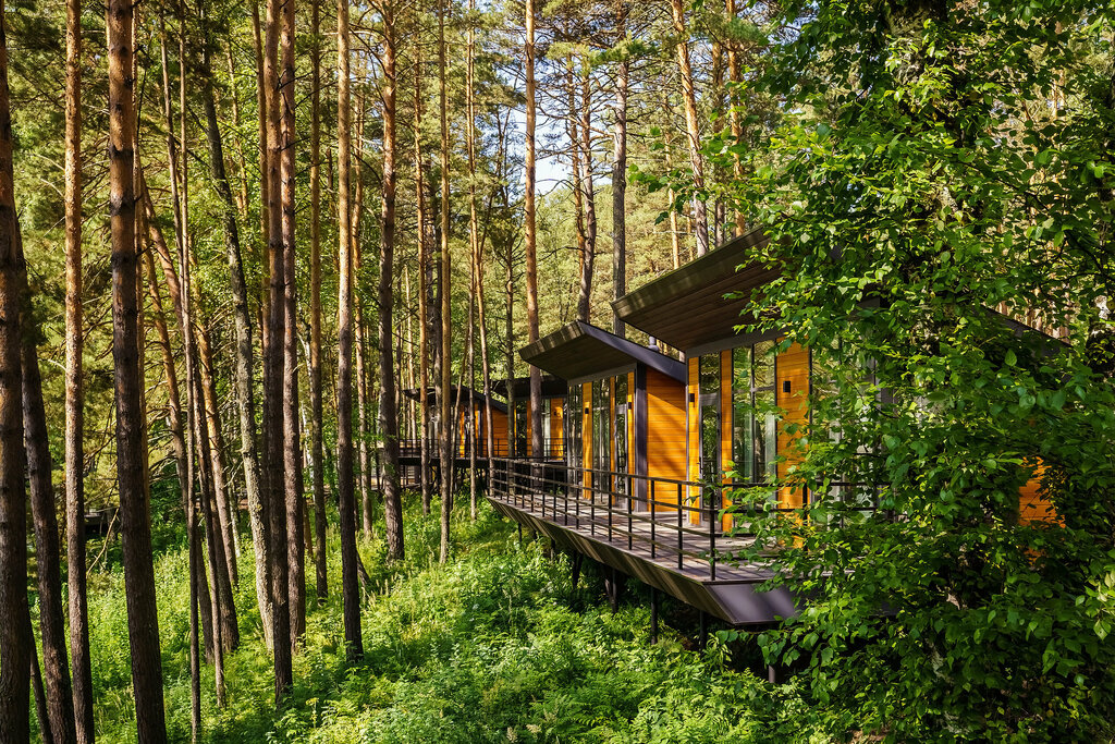 Resort oteller, tesisler ForRest, Novosibirskaya oblastı, foto