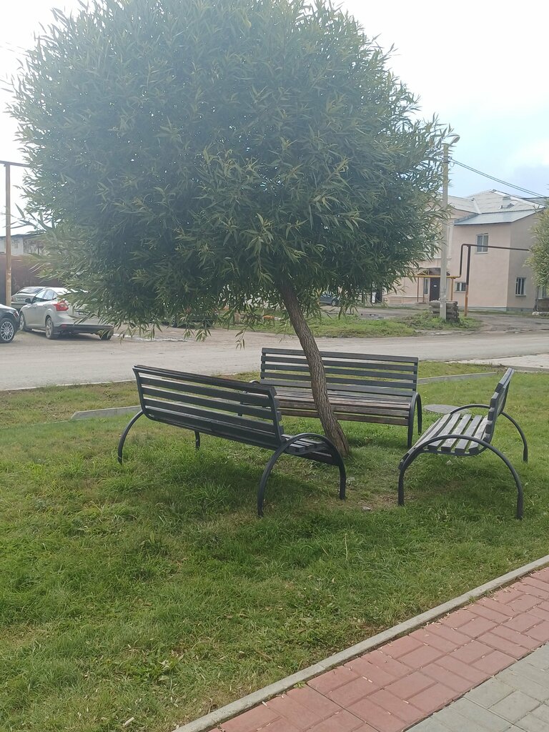 Bank Bench, Kamyşlov, foto