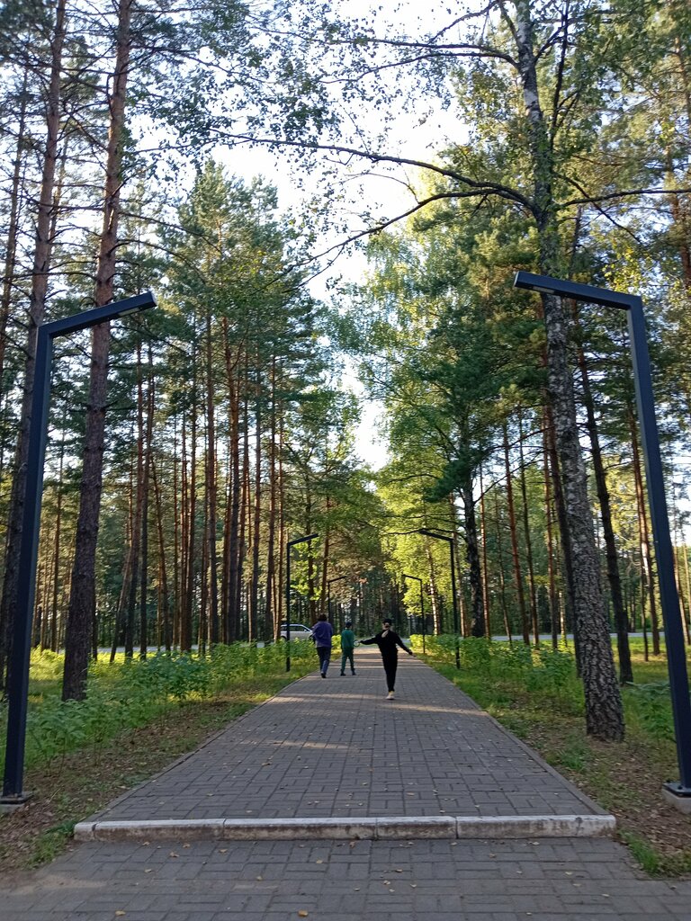 Anıt, heykel Гражданам, расстрелянным фашистами, Mogiliovskaya oblastı, foto