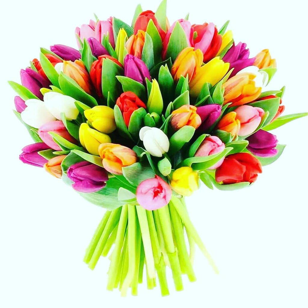 Çiçekçiler Море цветов, Moskova, foto