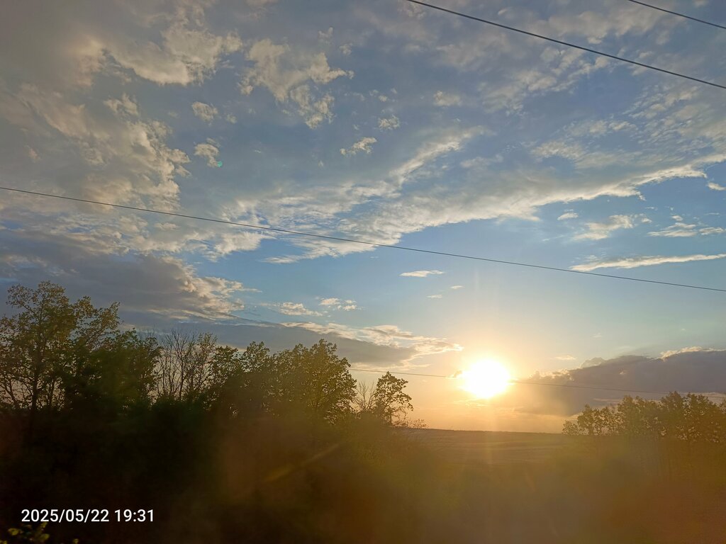 Orman Студёный лес, Voronejskaya oblastı, foto