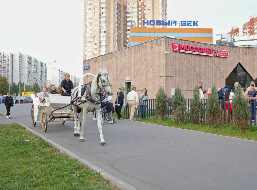 Spor ve eğlence merkezi Флагманский центр ОКЦ ВАО, Территориальное управление Новокосино, Moskova, foto