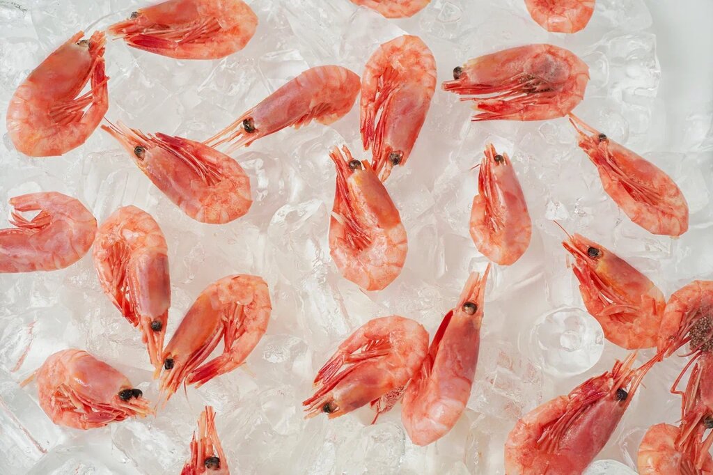 Balık ve deniz ürünleri Магаданские морепродукты, Moskova, foto