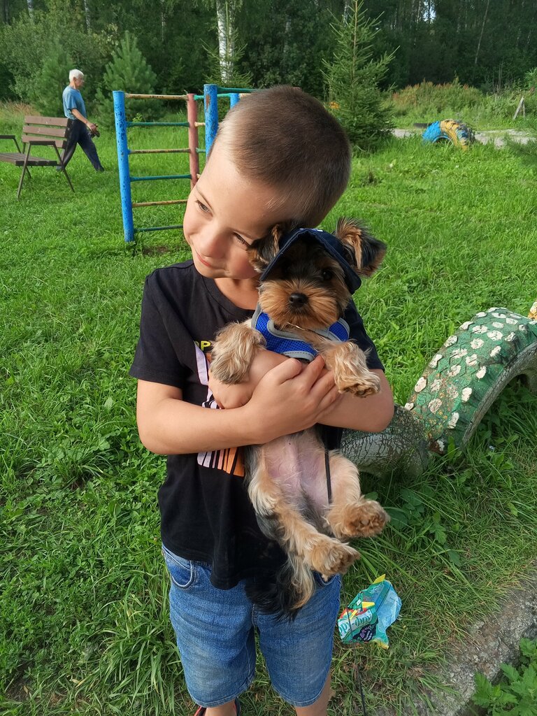 Oyun alanı Playground, Moskova ve Moskovskaya oblastı, foto