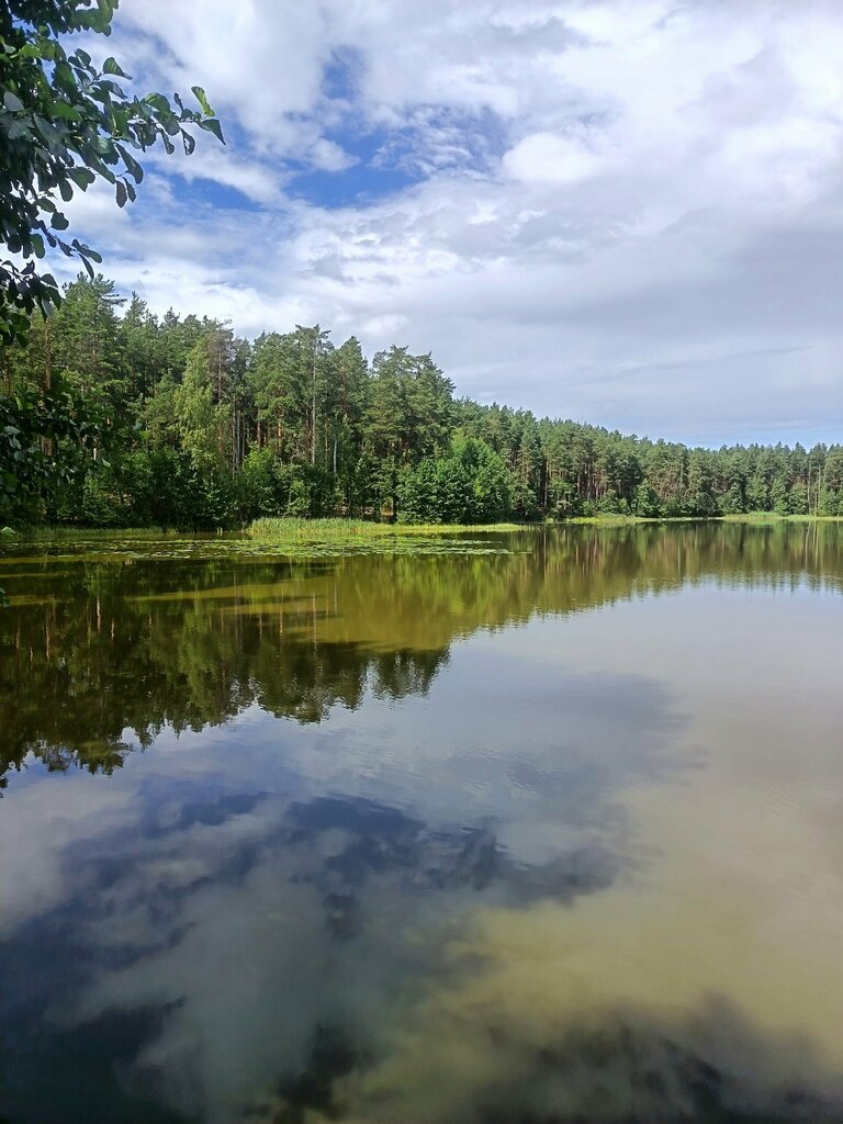 Plaj Пляж, Saint‑Petersburg ve Leningradskaya oblastı, foto