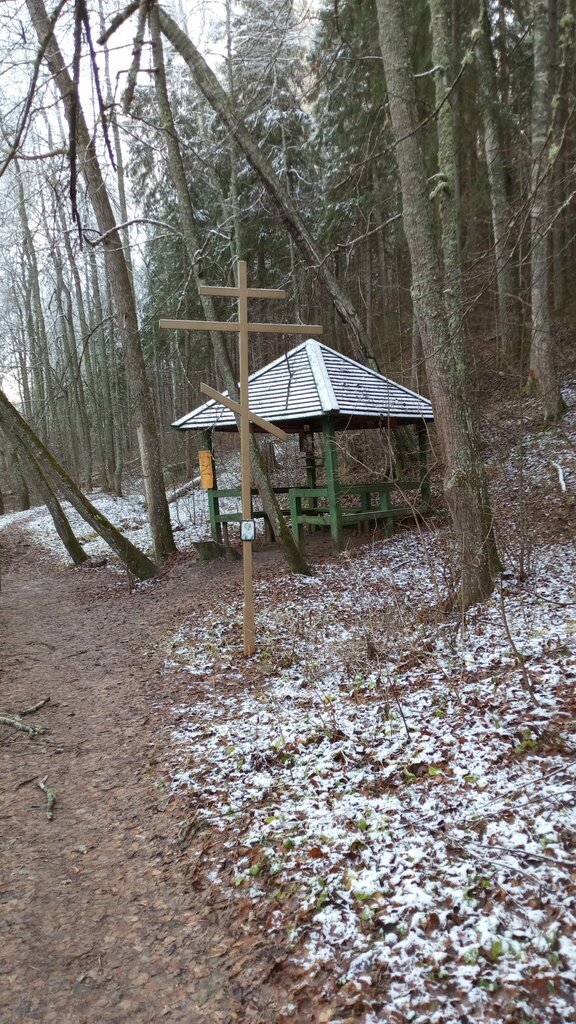 Ortodoks kiliseleri Православный храм, Sarov, foto