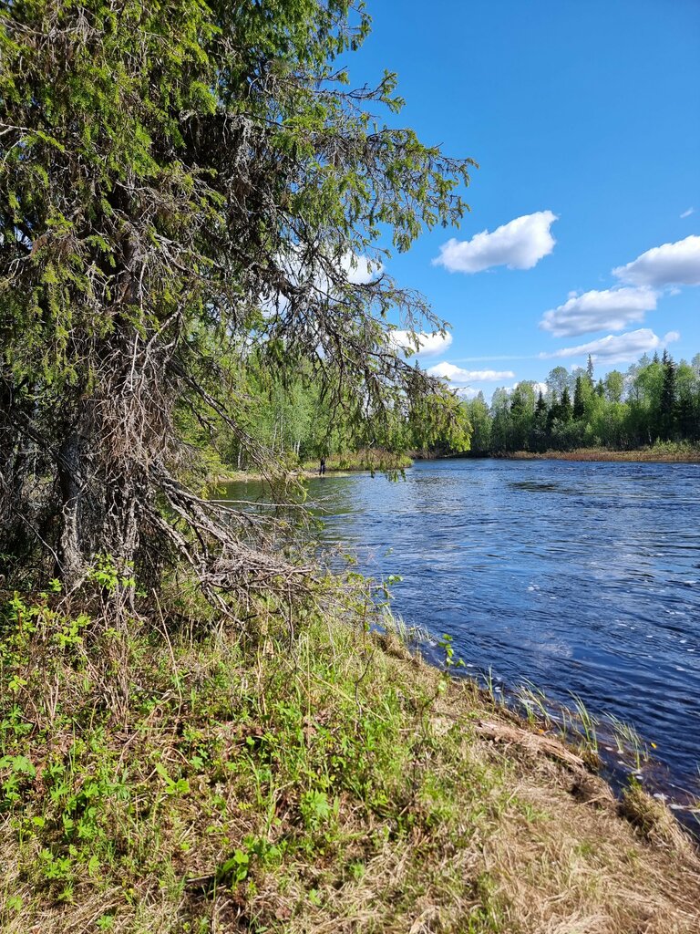 Tatil köyleri Рыболовная база Пана, Murmanskaya oblastı, foto