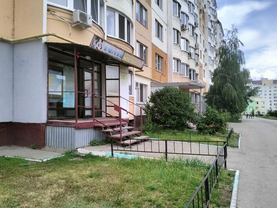 Kurs Panda, Saratov, foto