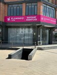 Flamingo tour (Alisher Navoi Street No:24A), seyahat acenteleri  Cizzak'tan