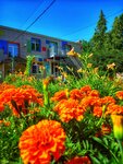 Детский сад № 26 (Agrokhimikov Street No:2А, Barybino Subdistrict), anaokulları  Domodedovo'dan