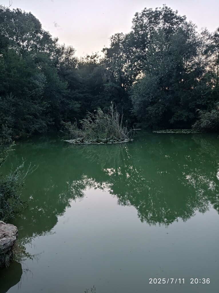 Pınar, çay Spring, stream, Kırım Cumhuriyeti, foto