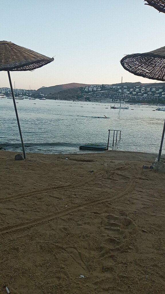 Plaj Yahşi Yelken Halk Plajı, Bodrum, foto