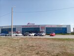 Магазин продуктов (prospekt imeni Lenina No:311), kasap, şarküteri  Voljski'den