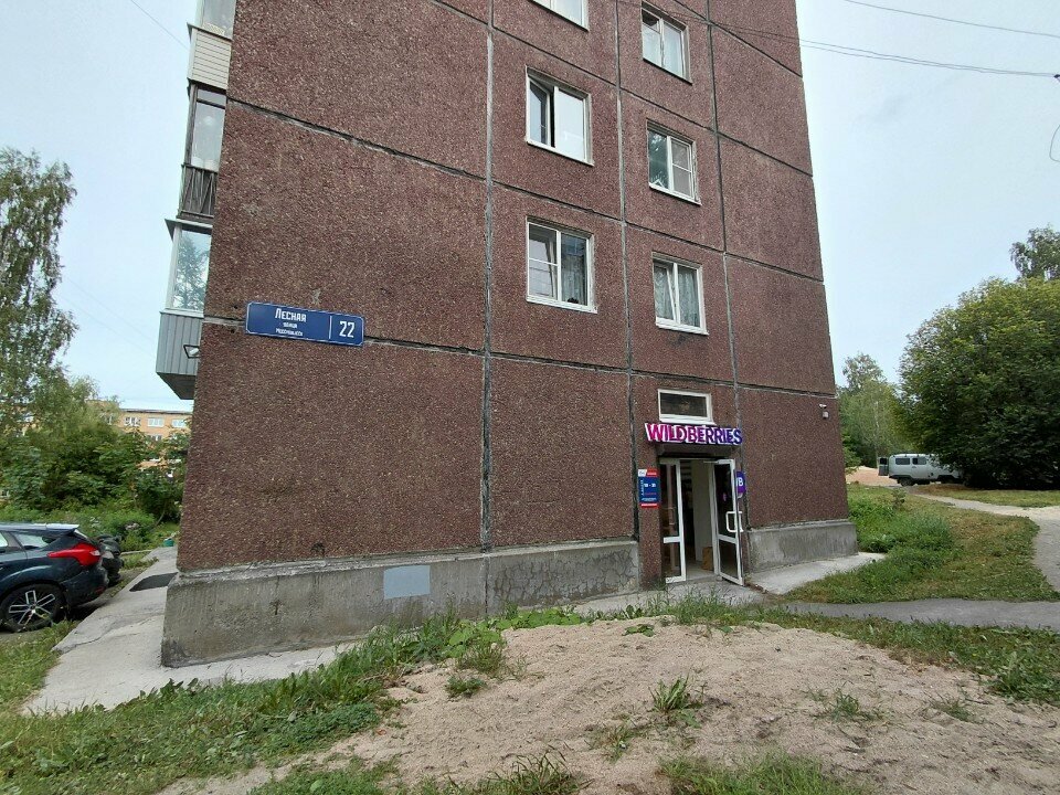 Teslimat noktası Wildberries, Petrozavodsk, foto