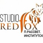 StudioRedfox женская фитнес-студия (Institutskaya ulitsa No:5М, posyolok Rassvet), dans okulları  Rostovskaya oblastından