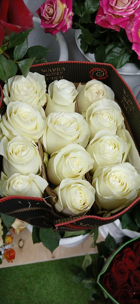 Çiçekçiler Цветы, Moskova ve Moskovskaya oblastı, foto