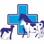 Veterinarnaya klinika Zaychonok (Kinel, Ukrainskaya ulitsa, 83А), veterinary clinic  Kinel'den