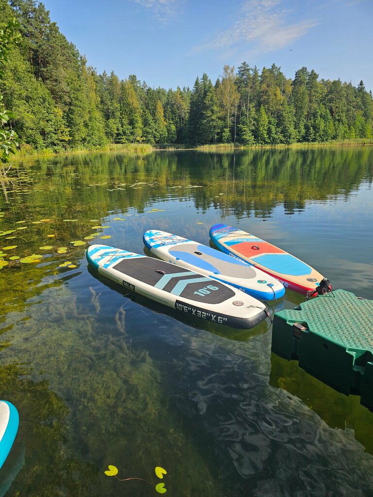 Kamp alanları Shibot, Vitebskaya oblastı, foto
