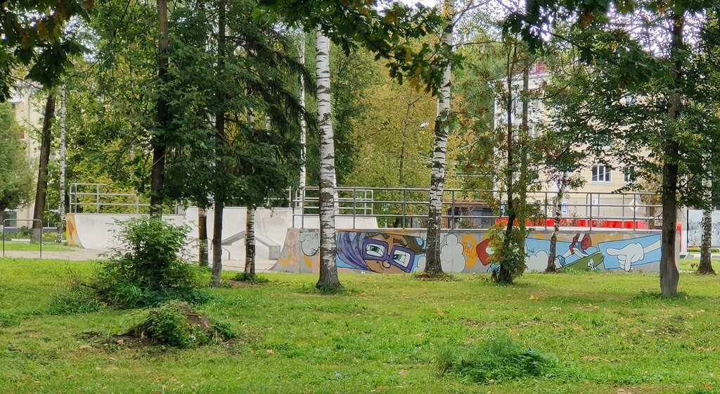 Spor ve eğlence merkezi Скейт/самокат-парк, Rzhev, foto