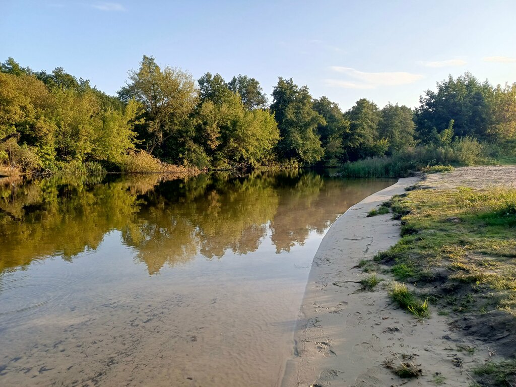 Plaj Пляж, Lipetskaya oblastı, foto